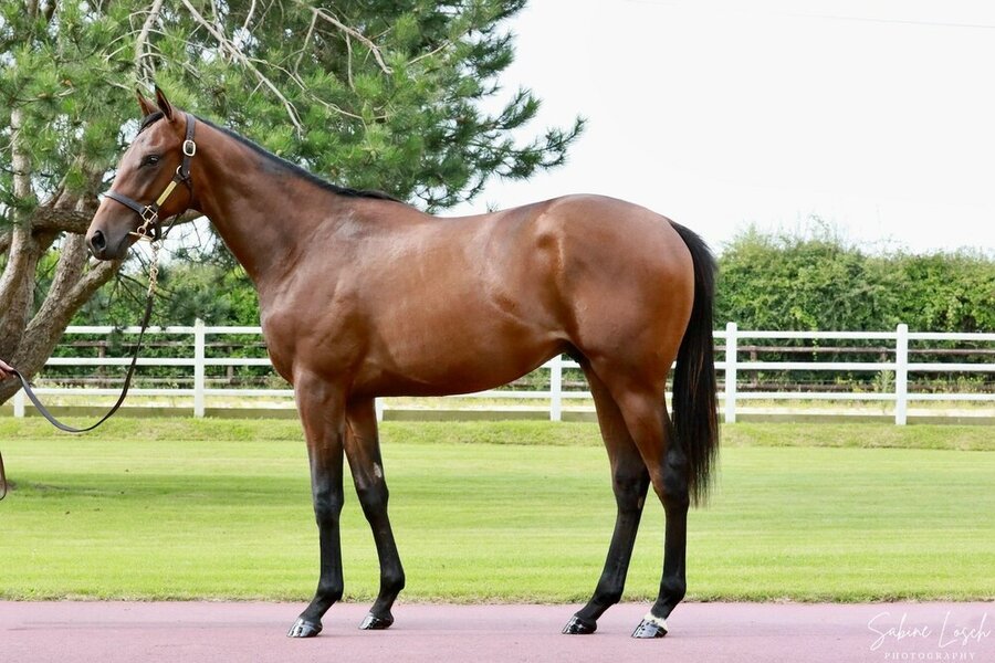 19 - Square d'Alboni (FR) | BBAG Sales