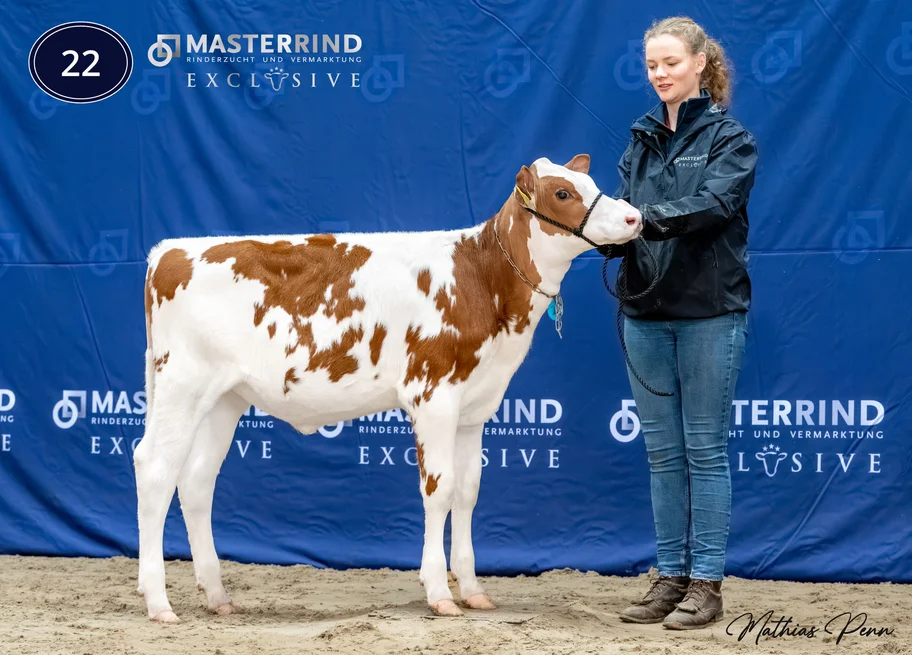 DE 05 437 53606 | Masterrind GmbH